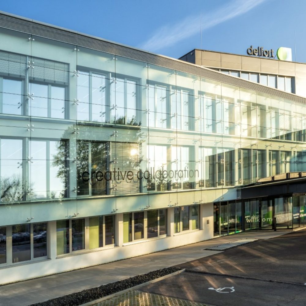 Governance Structure - delfort